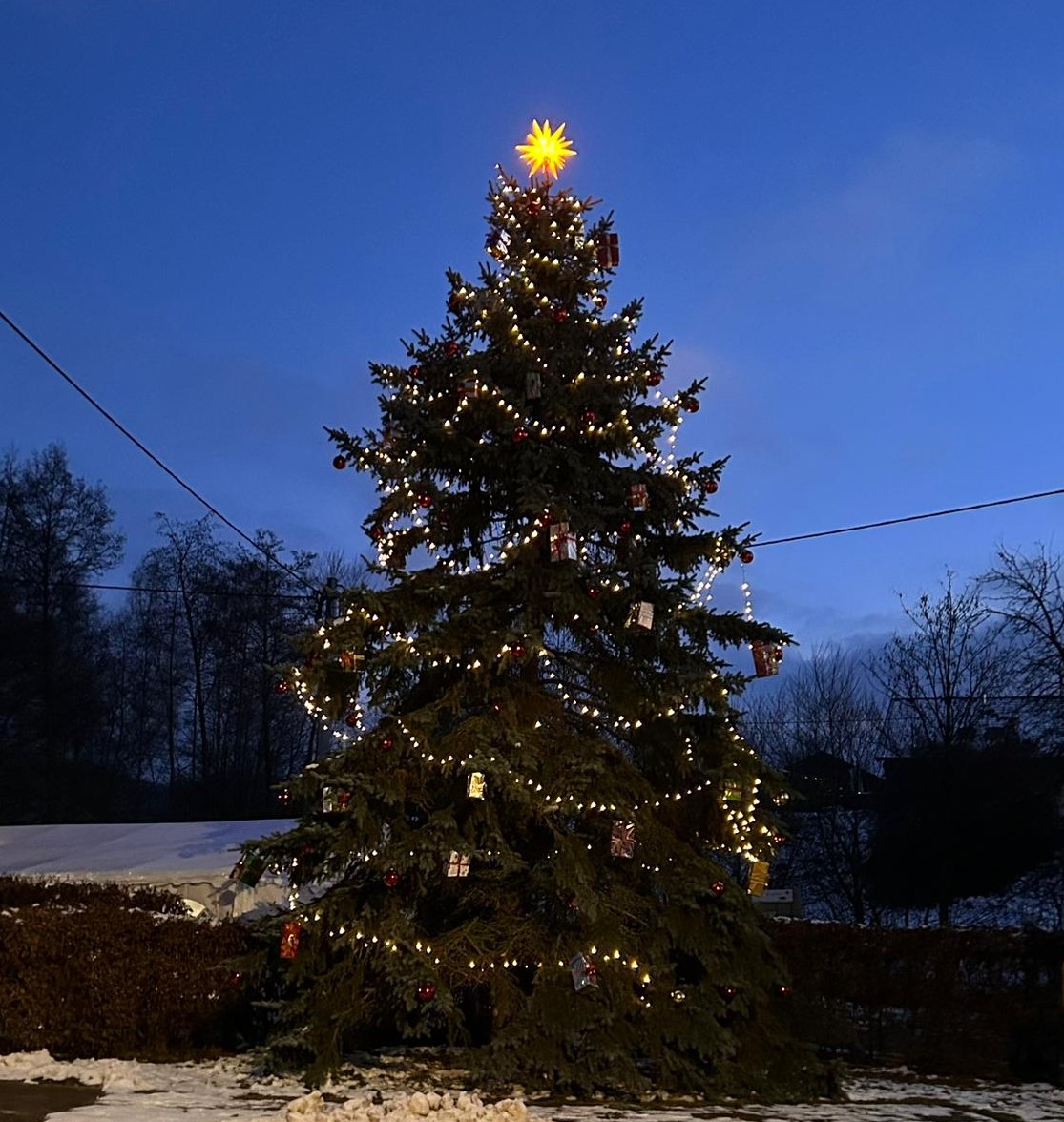Schãne Rostocker Weihnachtsbaum 2023 Ebenbild